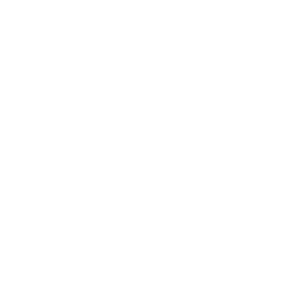 WD Logo